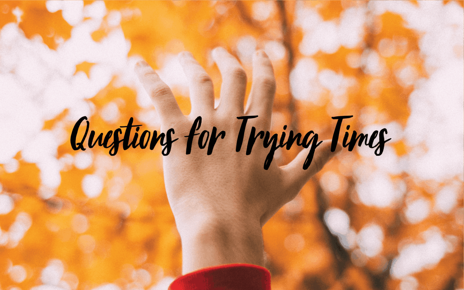 Questions for Trying Times